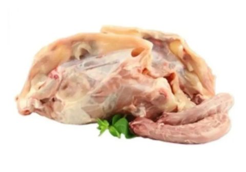 8 Pembekal Ayam Terbesar di Malaysia | Ayam Dara PJK